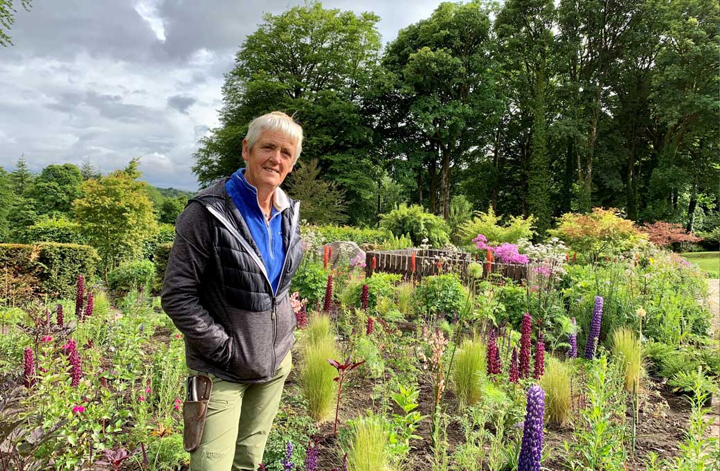 Tulfarris Hotel and Golf Resort link in with June Blake's Gardens